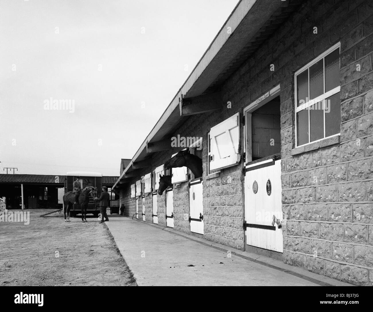 Horse stables 1960s hi-res stock photography and images - Alamy