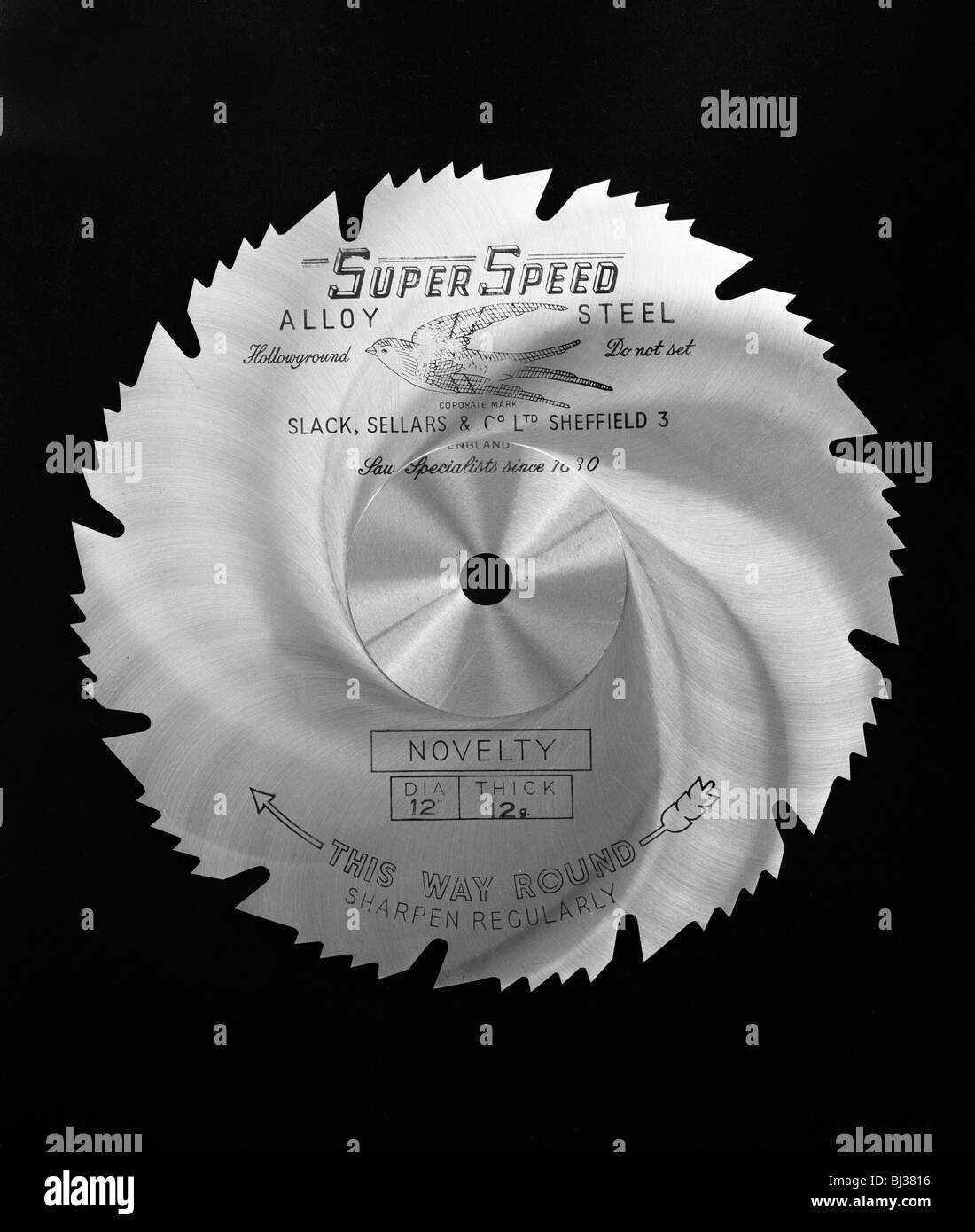 Buzz Saw Blade Metal Artwork