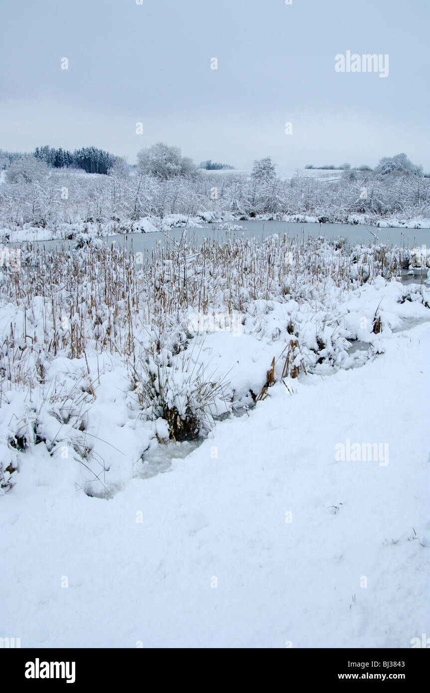Bucher reservoir habitat Stock Photo - Alamy