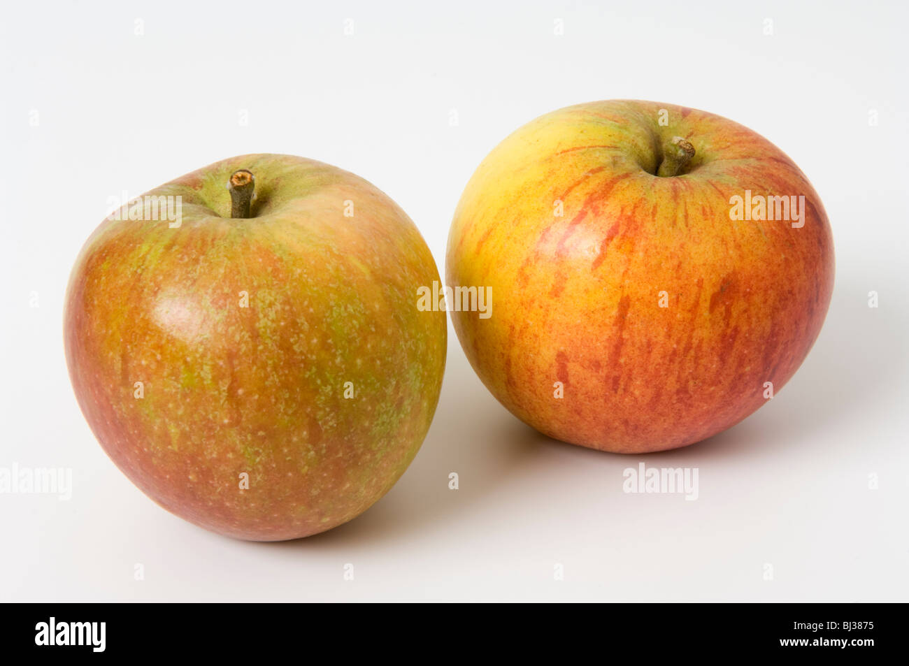 Pair of apples Stock Photo - Alamy