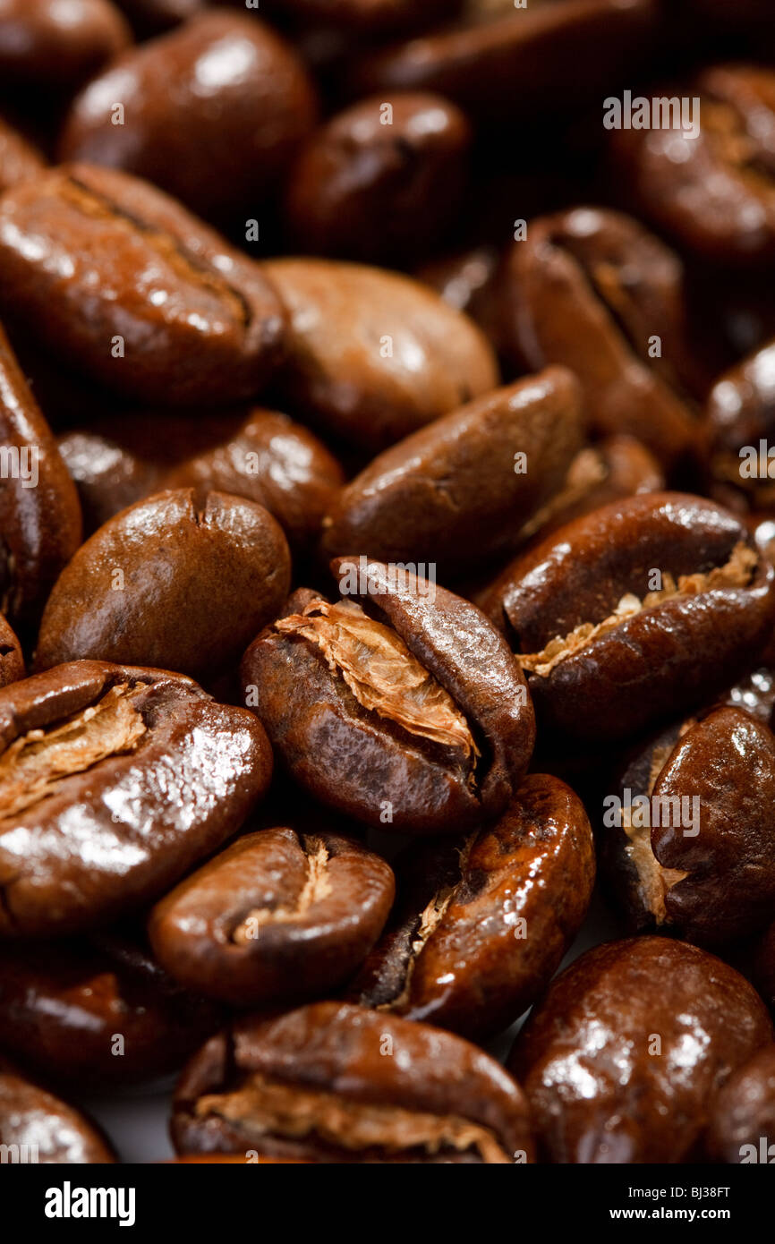 Shiny coffee beans hi-res stock photography and images - Alamy