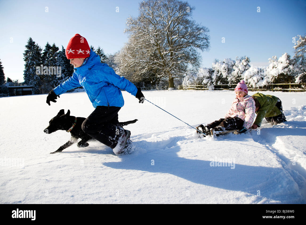 Children playing on sledge in the snow Stock Photo - Alamy