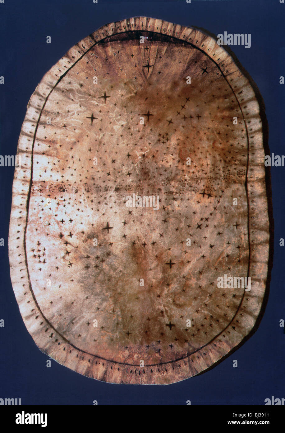 Pawnee indian star chart hi-res stock photography and images - Alamy