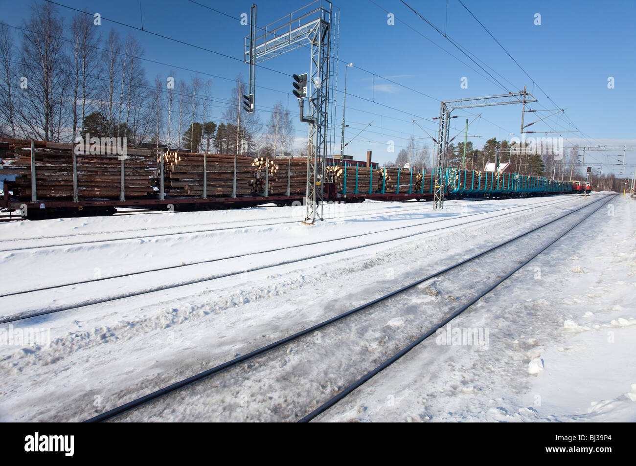 View of Finnish railroad yard where a cargo log train , transporting ...