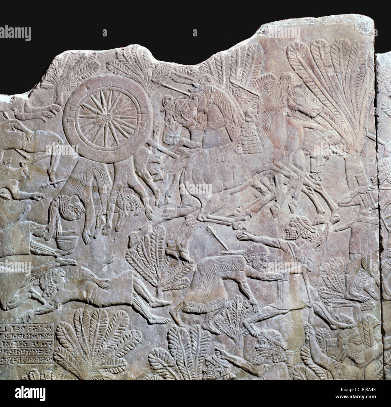 Stone relief from palace ashurbanipal hi-res stock photography and ...
