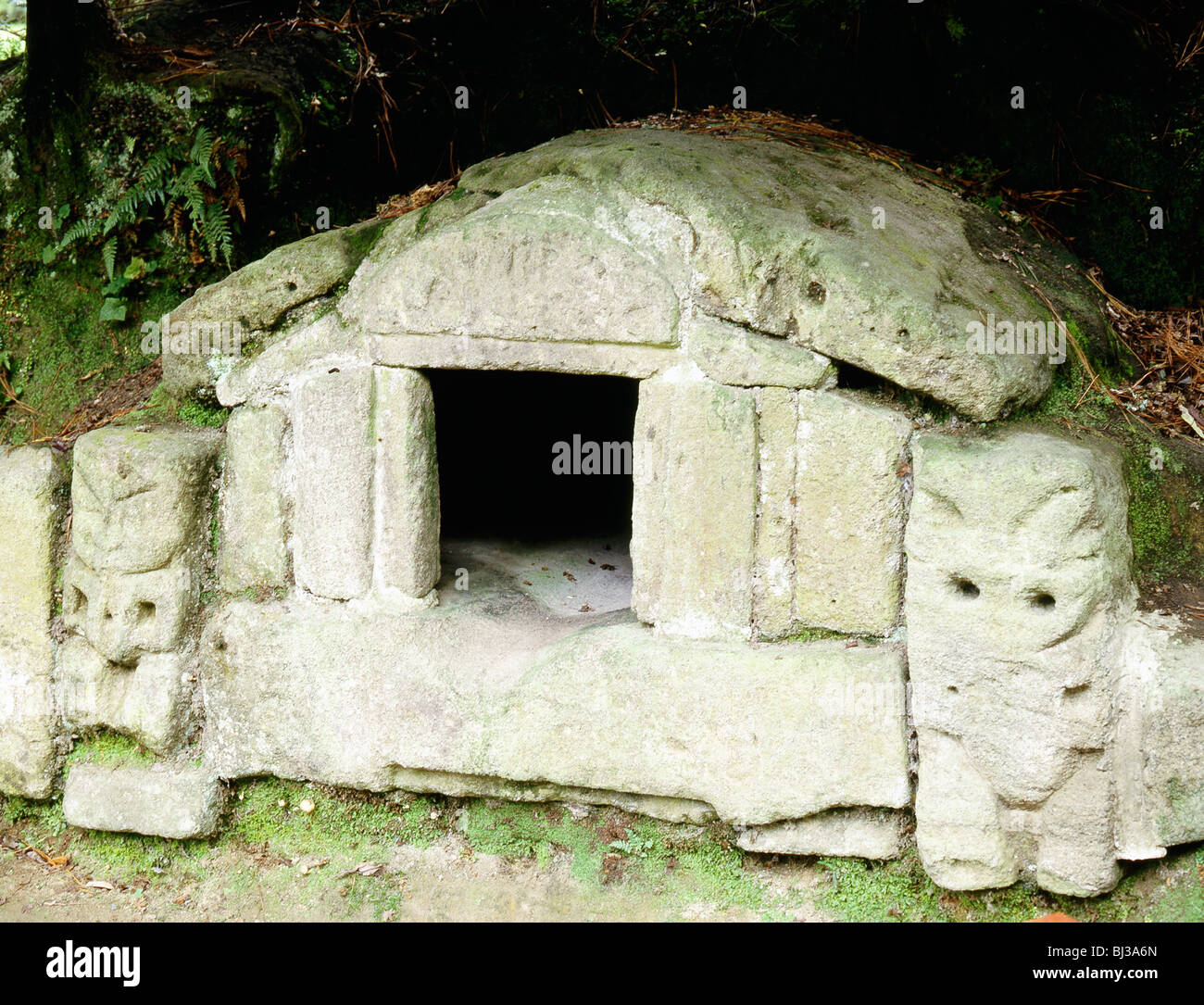 Te wairoa new zealand hi-res stock photography and images - Alamy