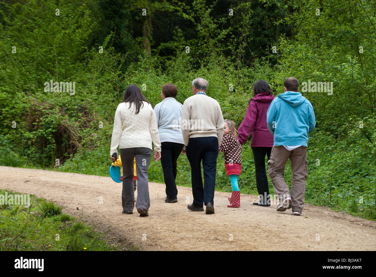 Family group walking away on forest path Stock Photo - Alamy