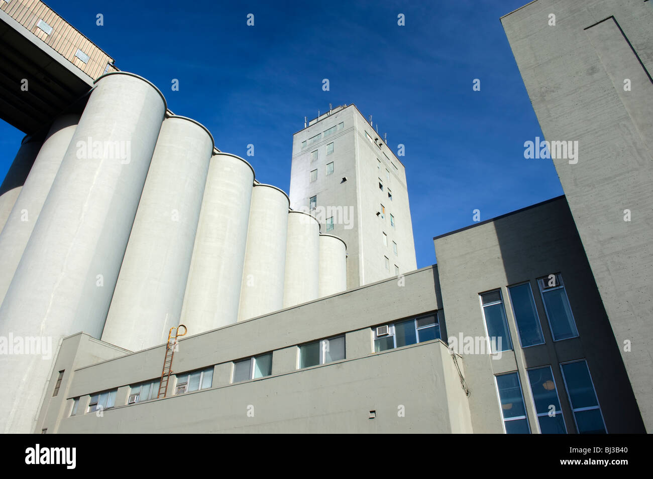 ADM building, formerly Five Roses Flour, grain silos and building in ...