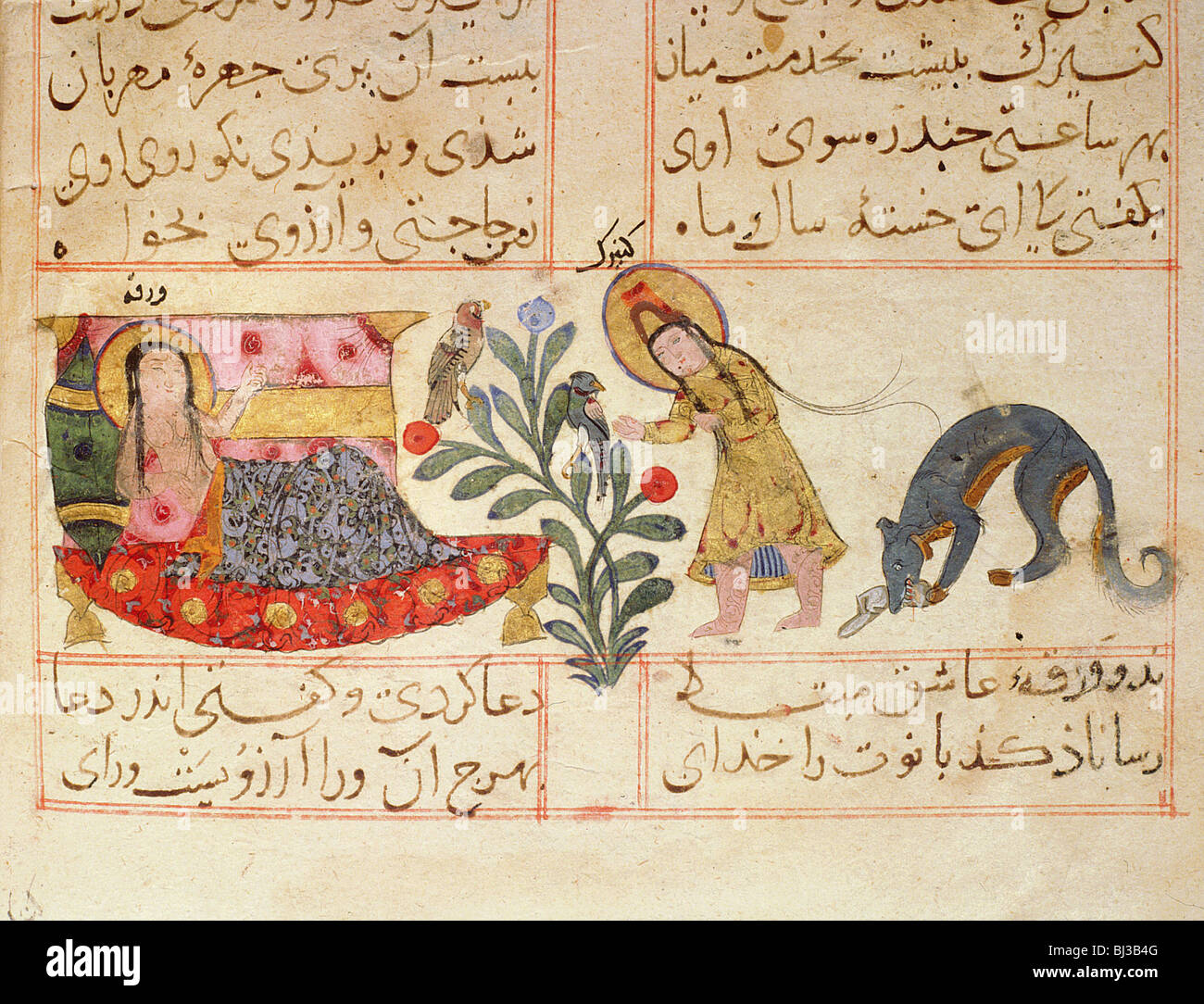 Illustrated manuscript tree hi-res stock photography and images - Alamy