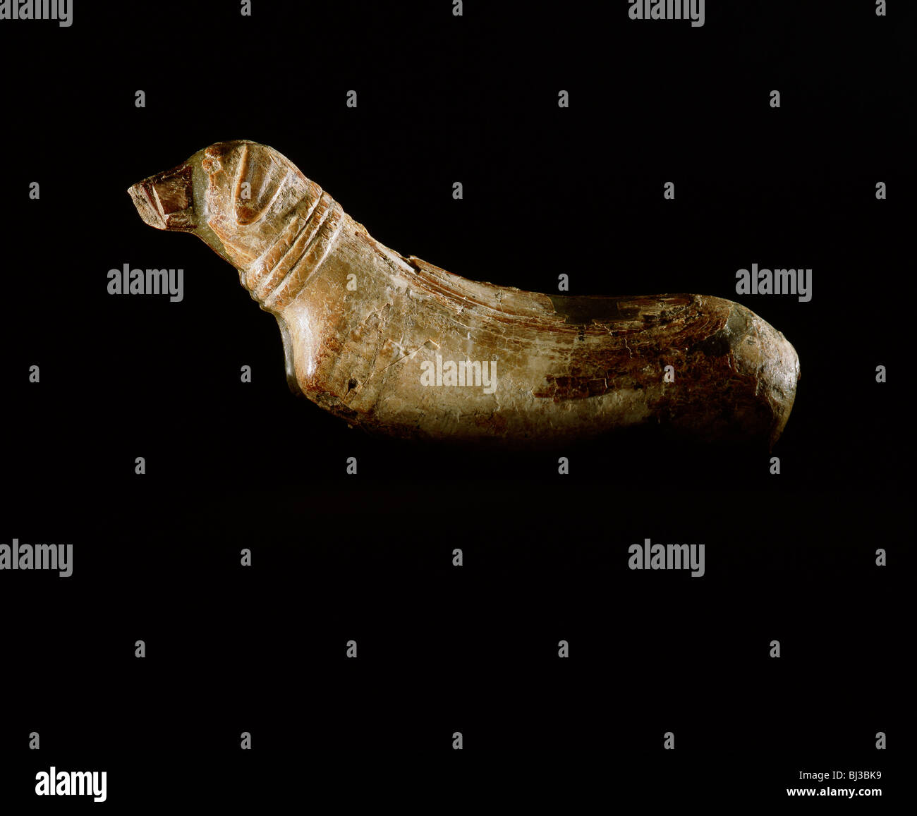 Predynastic animal hi-res stock photography and images - Alamy