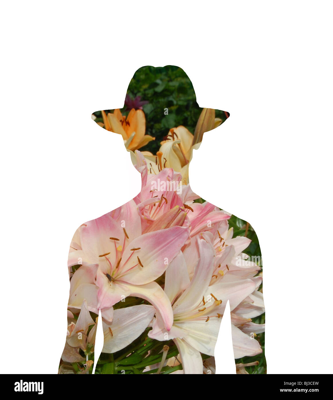 Punk and white flower Cut Out Stock Images & Pictures - Alamy