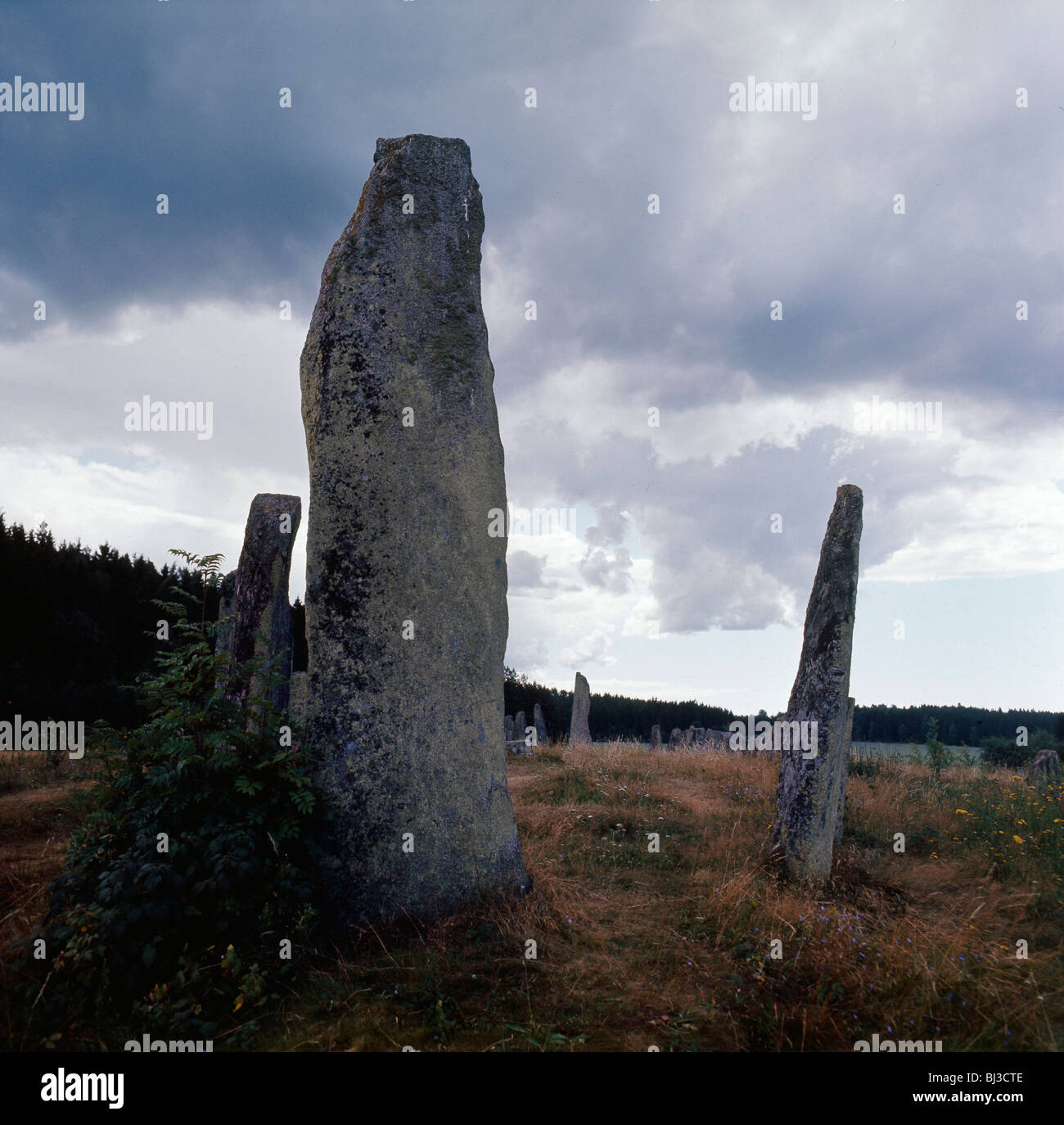 Menhir sweden hi-res stock photography and images - Alamy