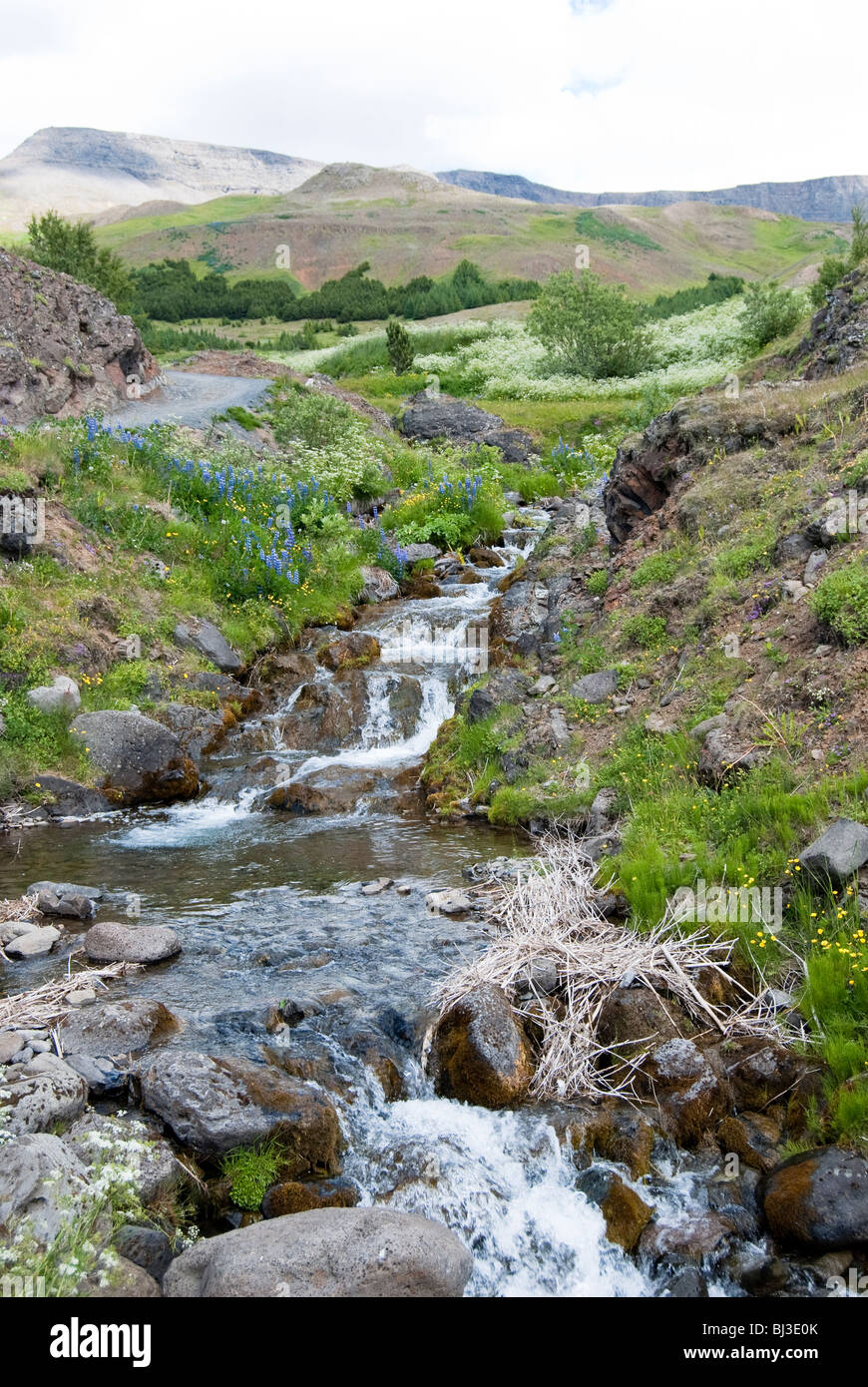 Stream running down Mt. Esja, south-west Iceland Stock Photo - Alamy