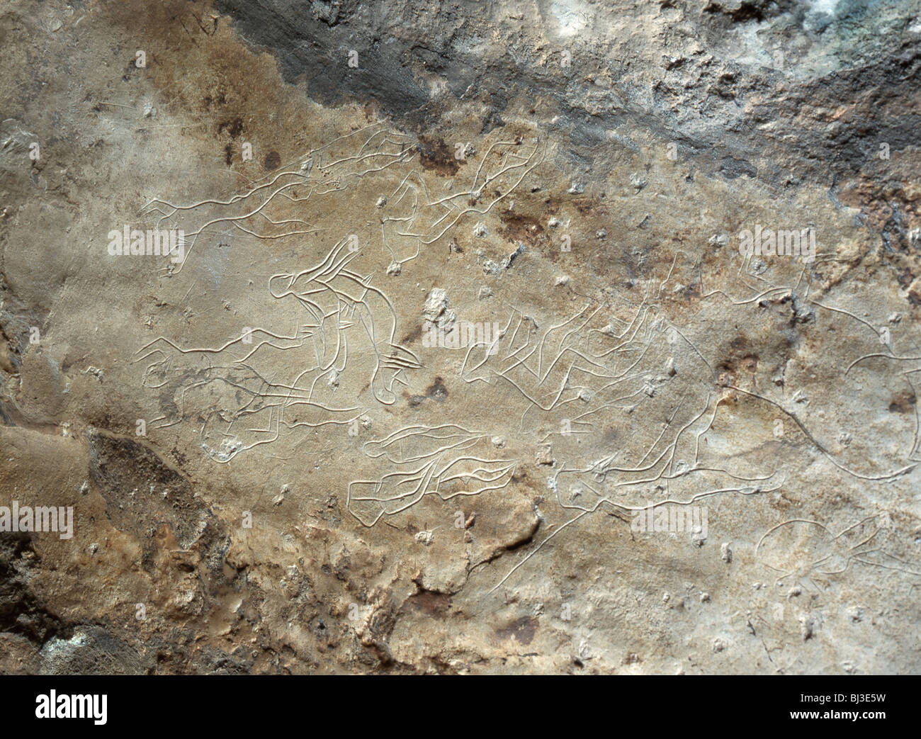 Paleolithic man drawing hi-res stock photography and images - Alamy