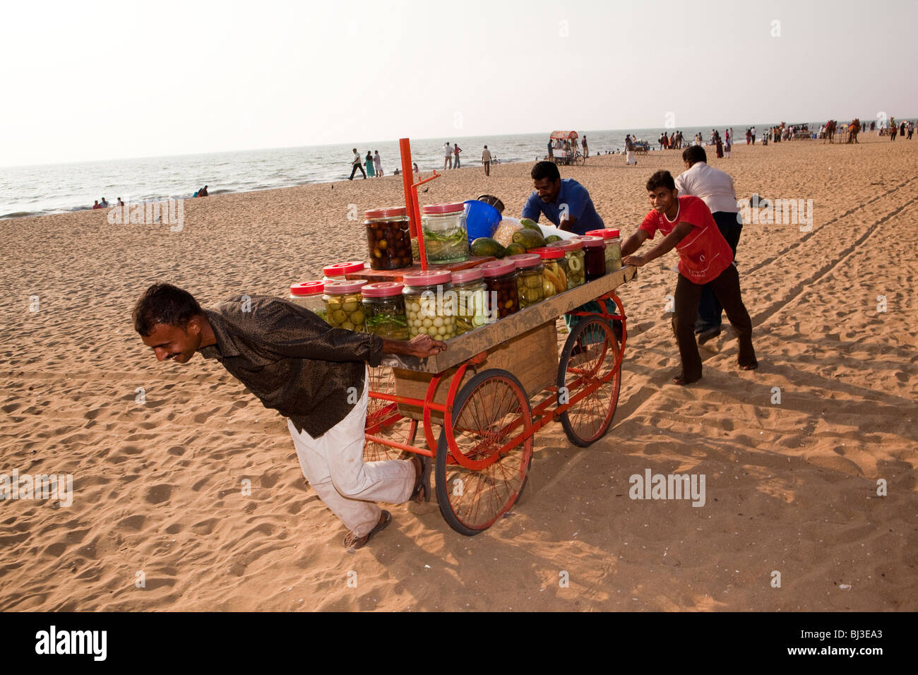 India, Kerala, Calicut, Kozhikode beach, seafront vendors dragging ...