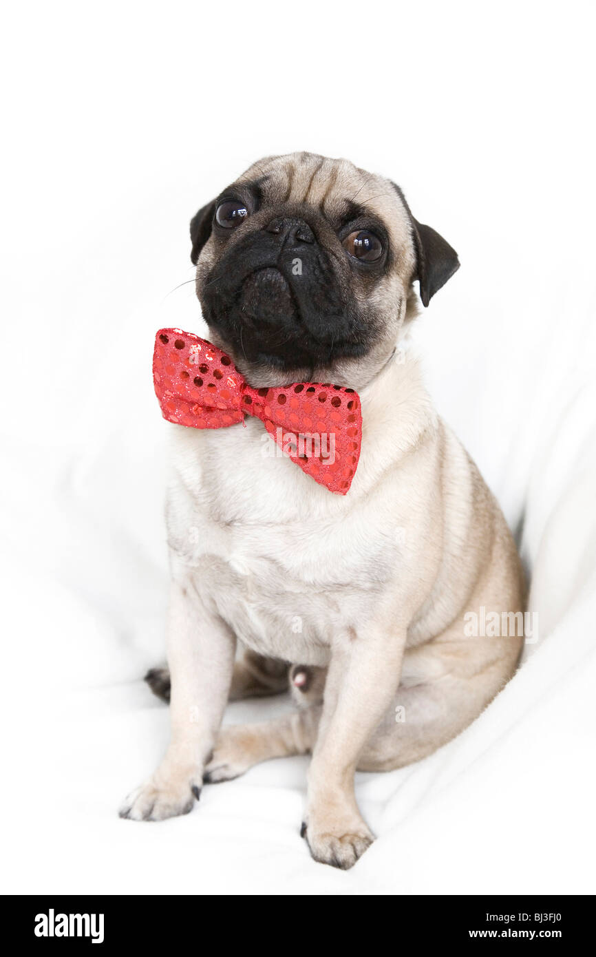 Wearing red ties hi-res stock photography and images - Alamy