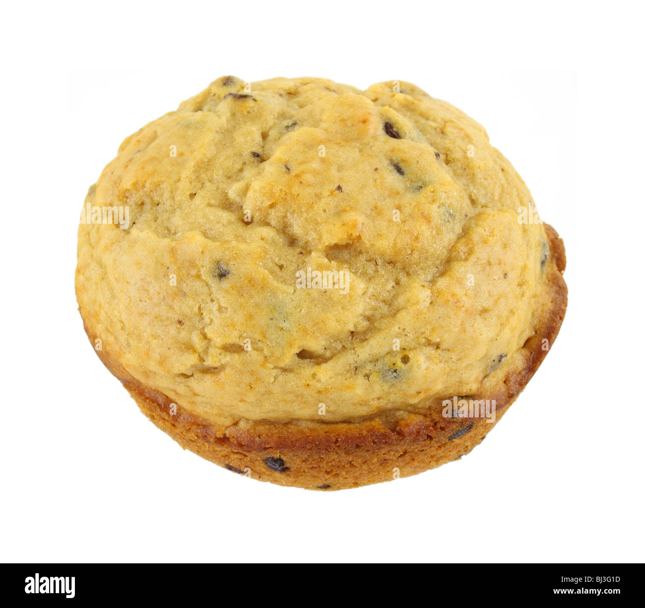 Single chocolate chip muffin Stock Photo - Alamy