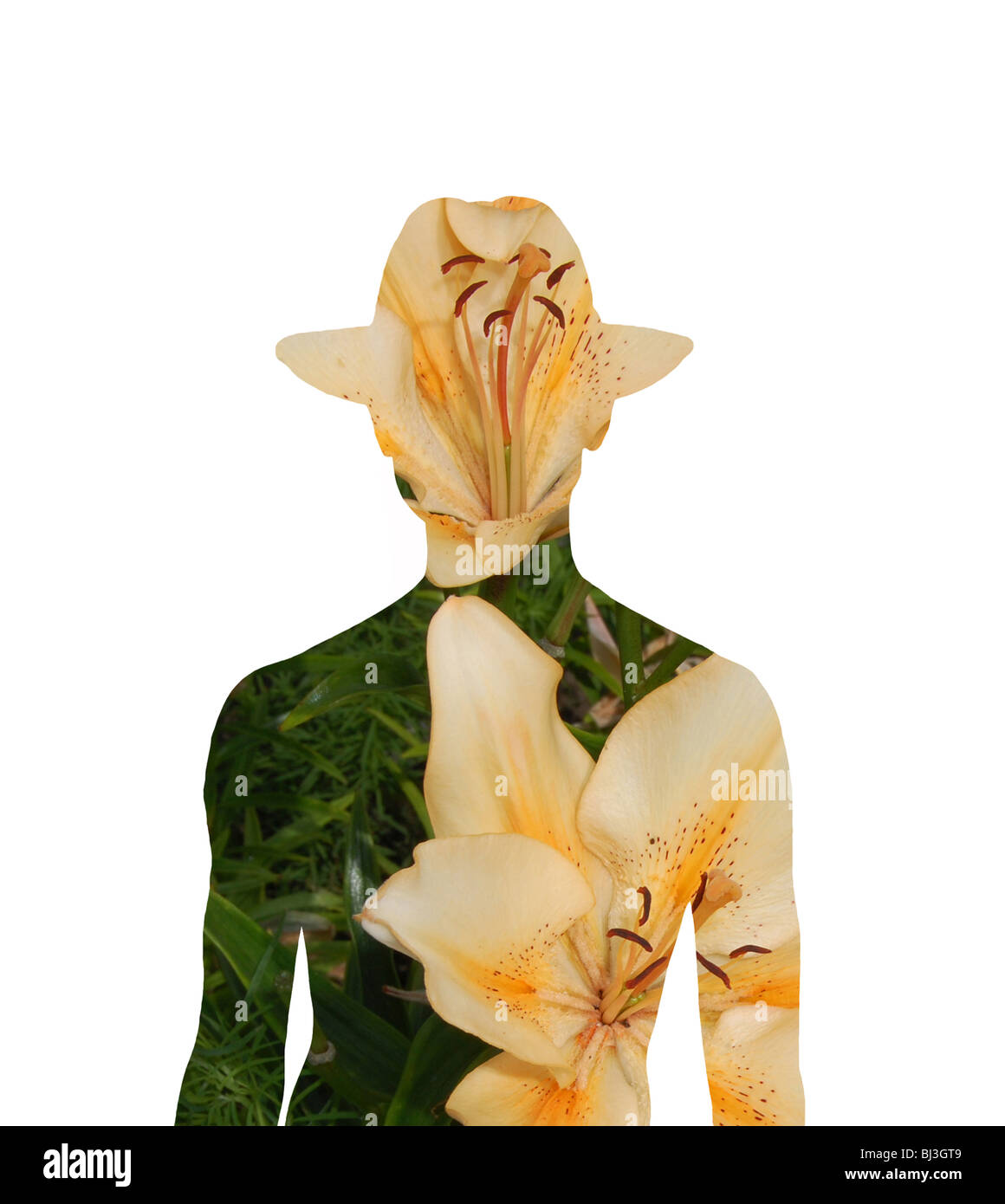 Punk and white flower Cut Out Stock Images & Pictures - Alamy
