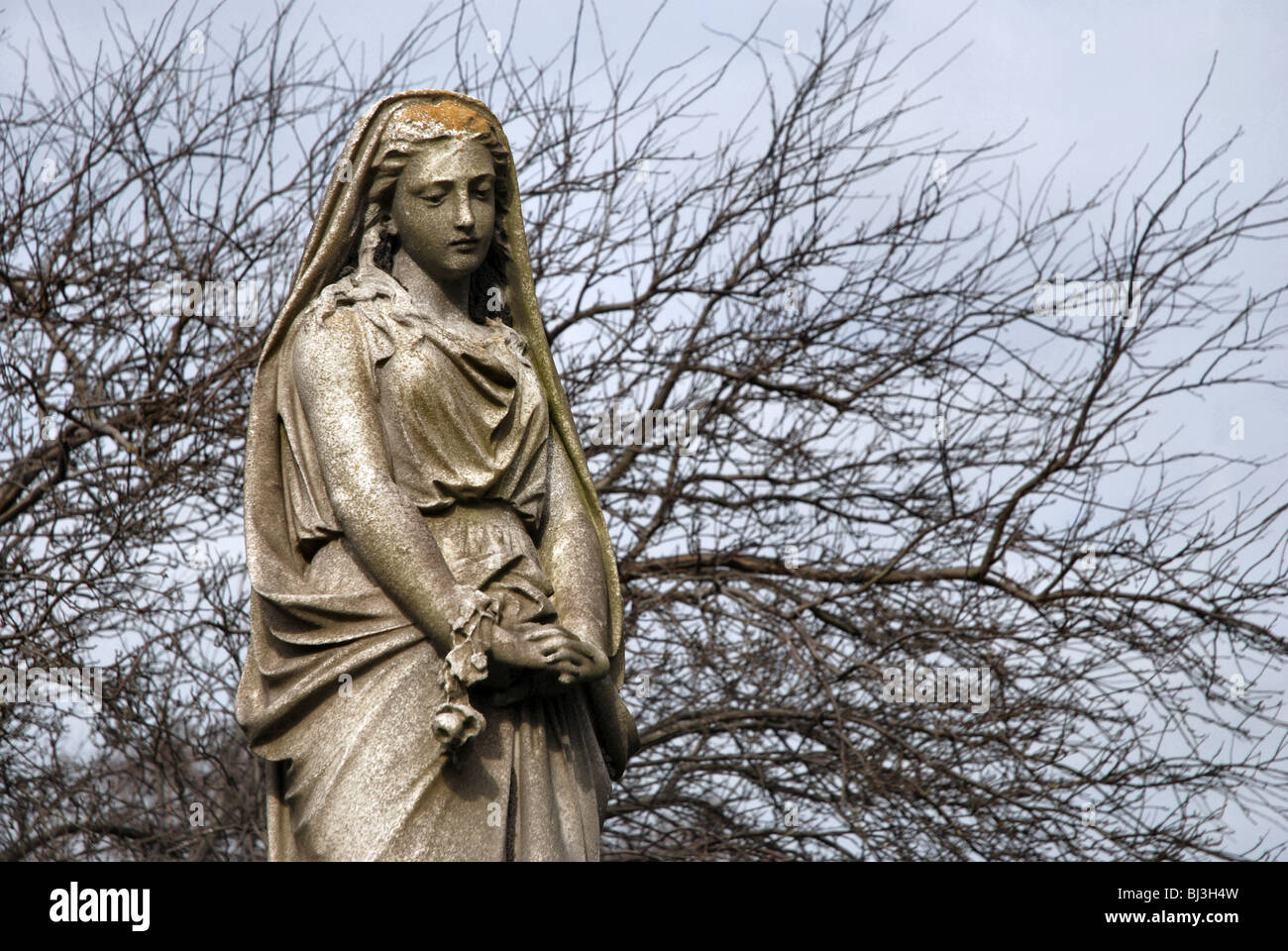 Statue of a woman in mourning against a background of bare trees Stock ...