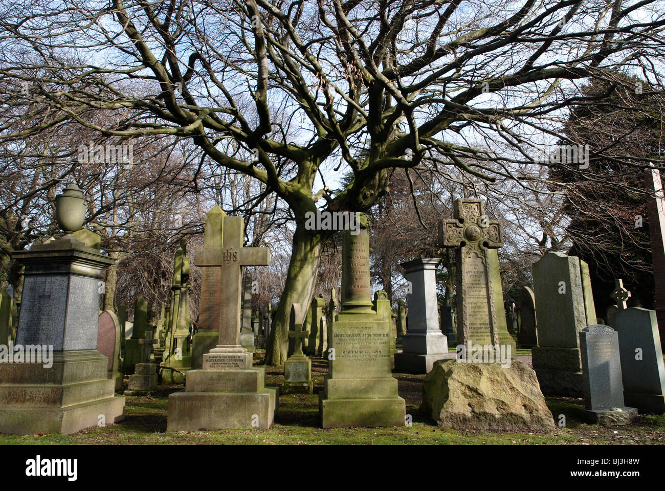 Bare trees and memorials in the Dean Cemetery, Edinburgh, Scotland Stock Photo - Alamy