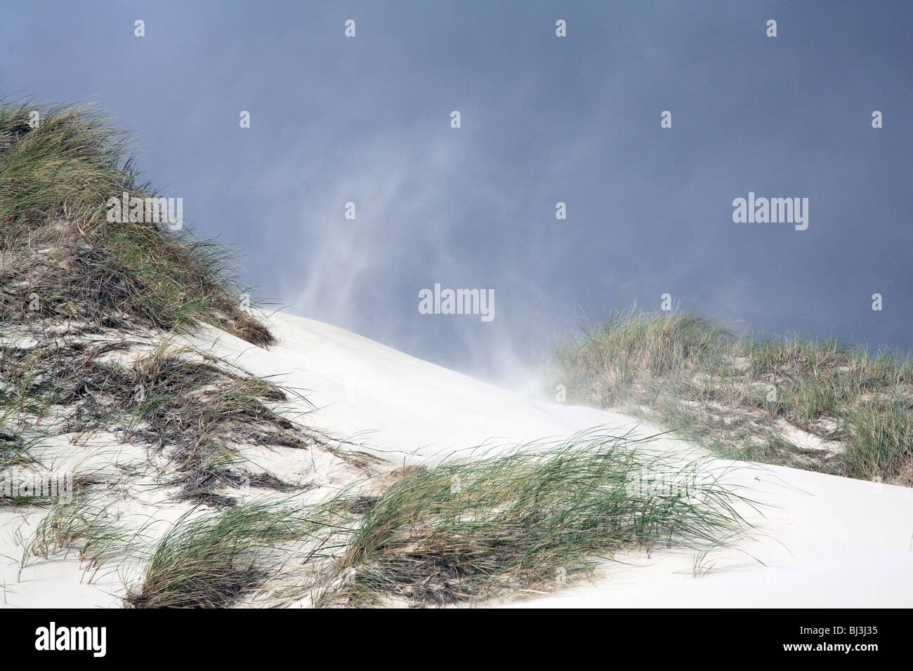 Wind blowing away sand from a dune, Amrum, Germany Stock Photo - Alamy