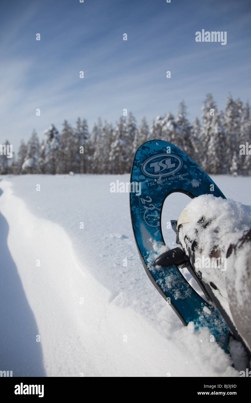 Snowshoeing lapland, finland hi-res stock photography and images - Alamy