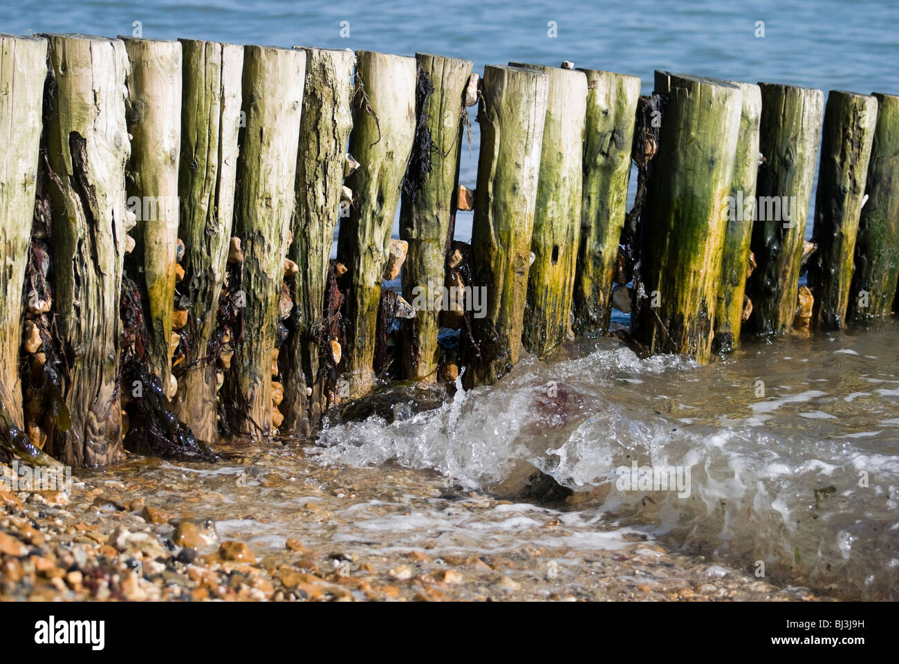 wave worn wooden beach piers Stock Photo - Alamy