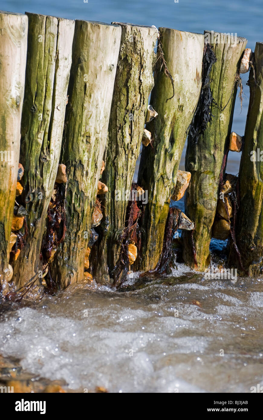 wave worn wooden beach piers lepe Stock Photo - Alamy