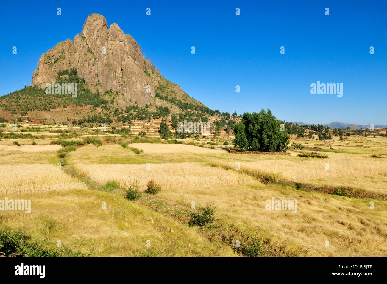 Adwa hi-res stock photography and images - Alamy