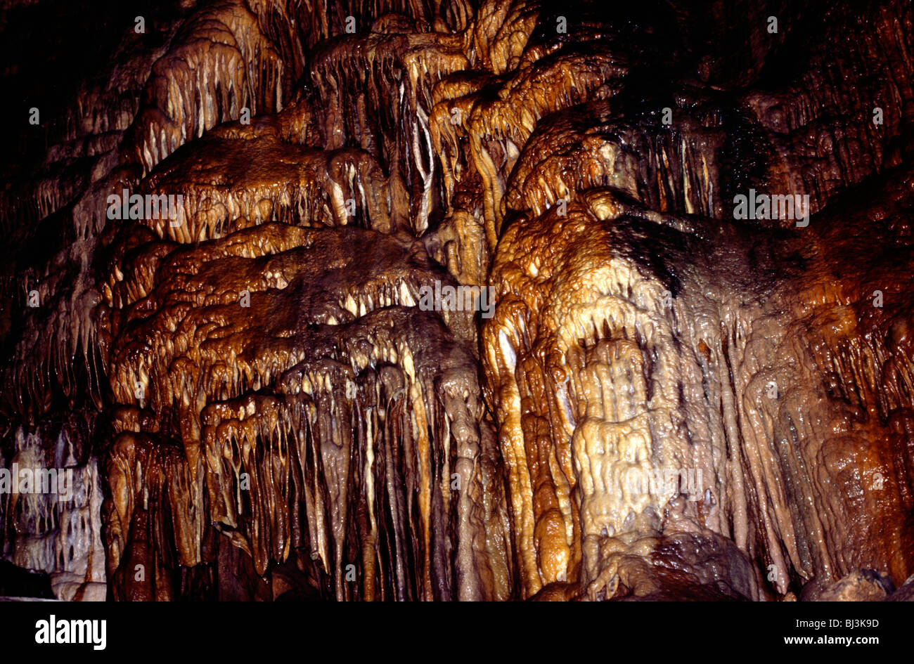 cheddar Gorge Somerset Stalactites In Cheddar Caves Stock Photo - Alamy