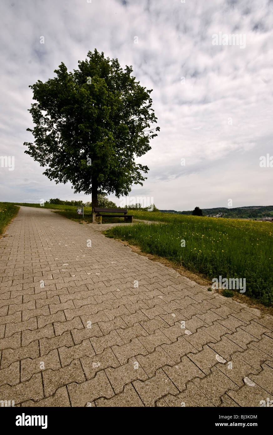 Only the lonely hi-res stock photography and images - Alamy