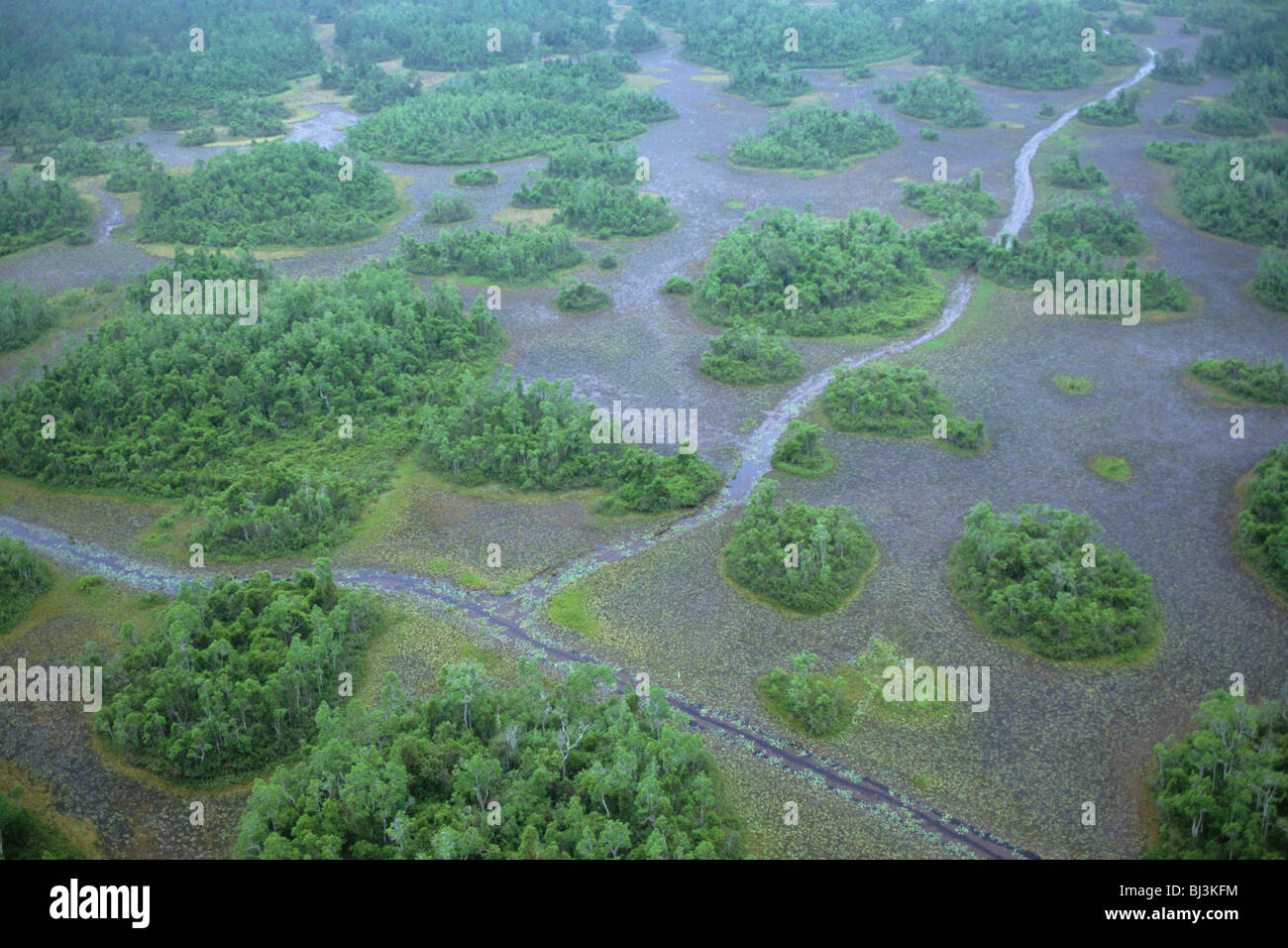 Okefenokee swamp aerial hi-res stock photography and images - Alamy