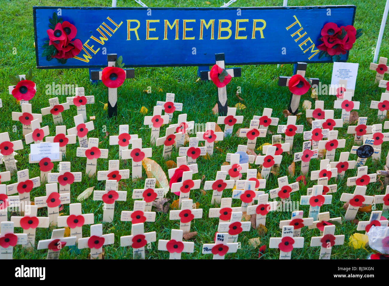 Poppies crosses on remembrance day hi-res stock photography and images ...