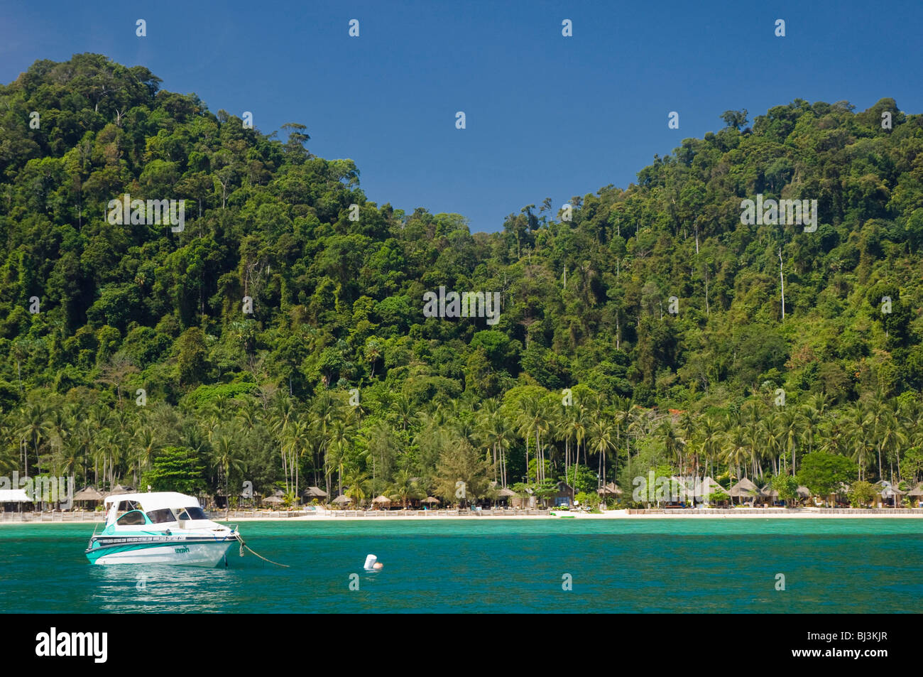 Ko hai trang hi-res stock photography and images - Alamy