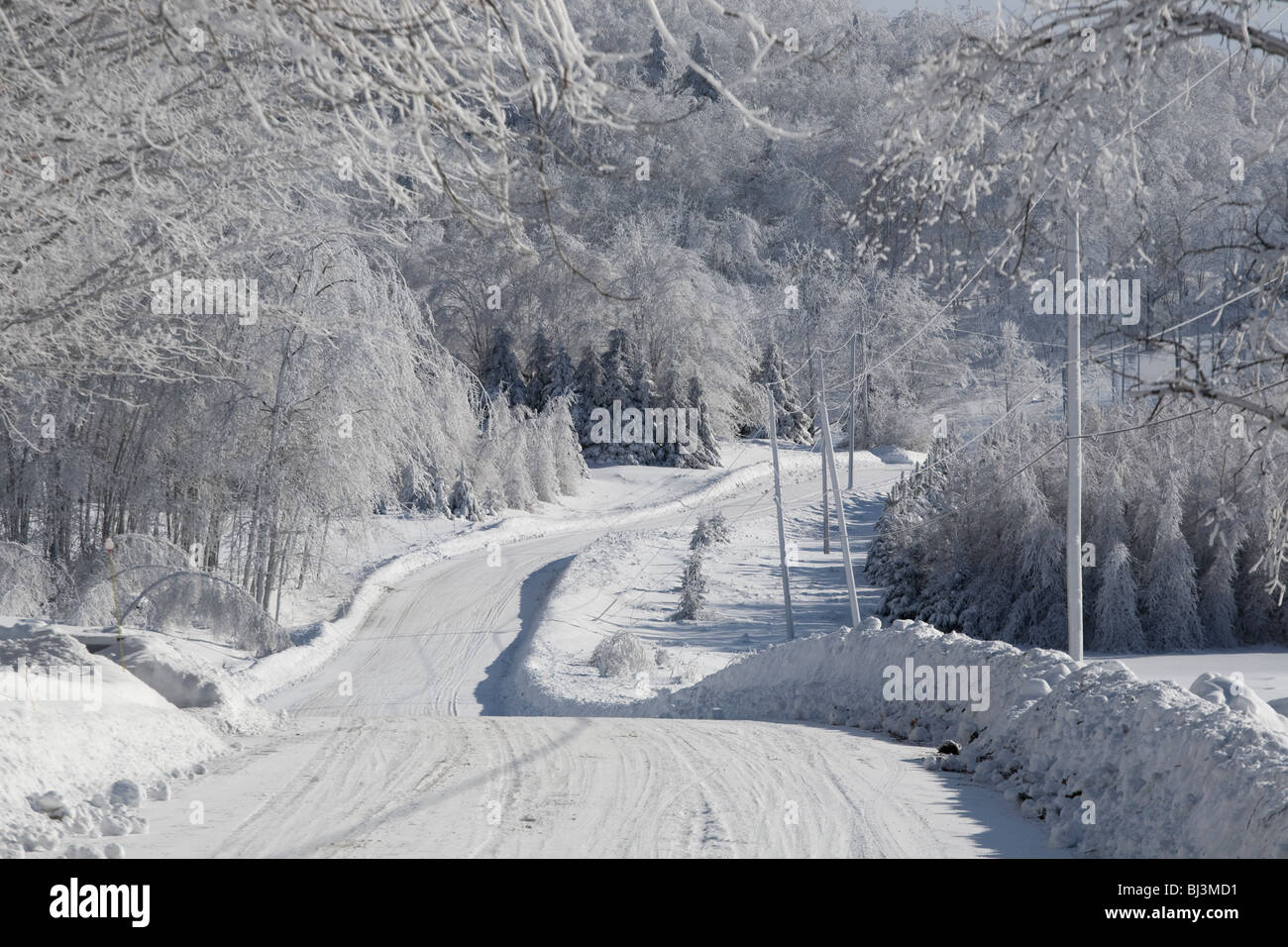 Snowy landscape in winter, Canada Stock Photo - Alamy