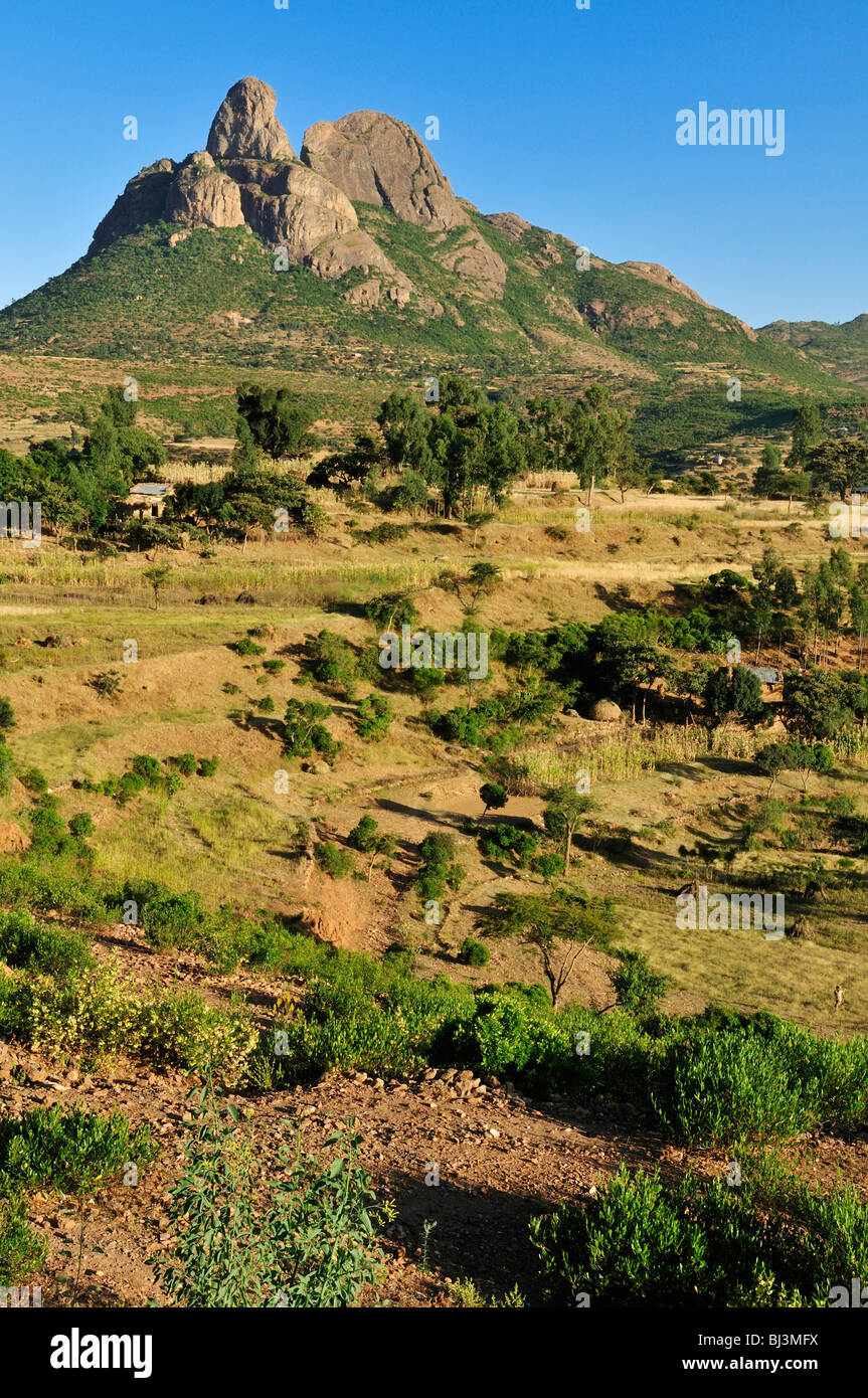 Adwa hi-res stock photography and images - Alamy