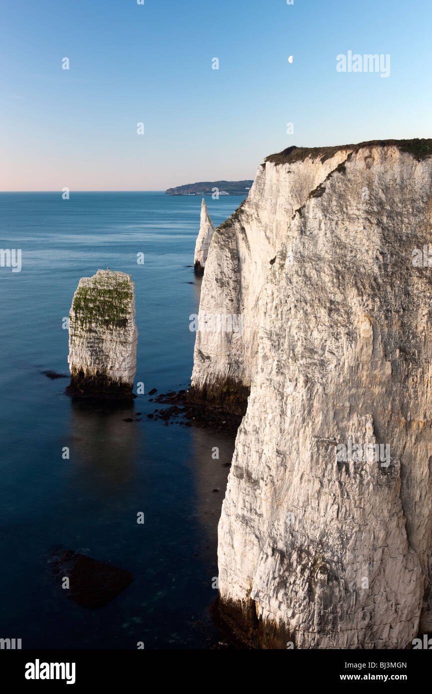 Chalk Stacks towards Peveril Point. Studland. Dorset Stock Photo - Alamy