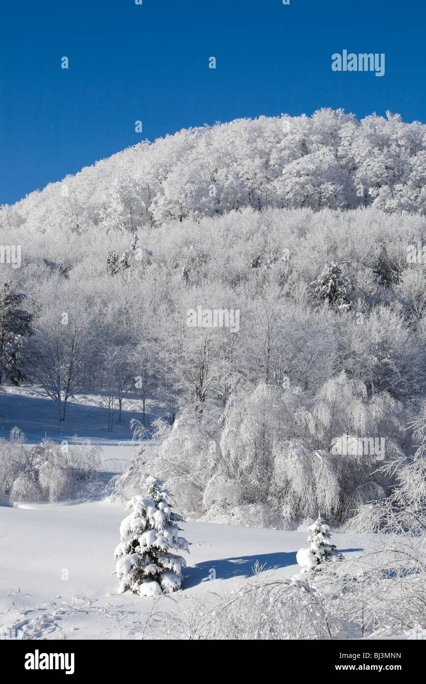 Snowy landscape in winter, Canada Stock Photo - Alamy