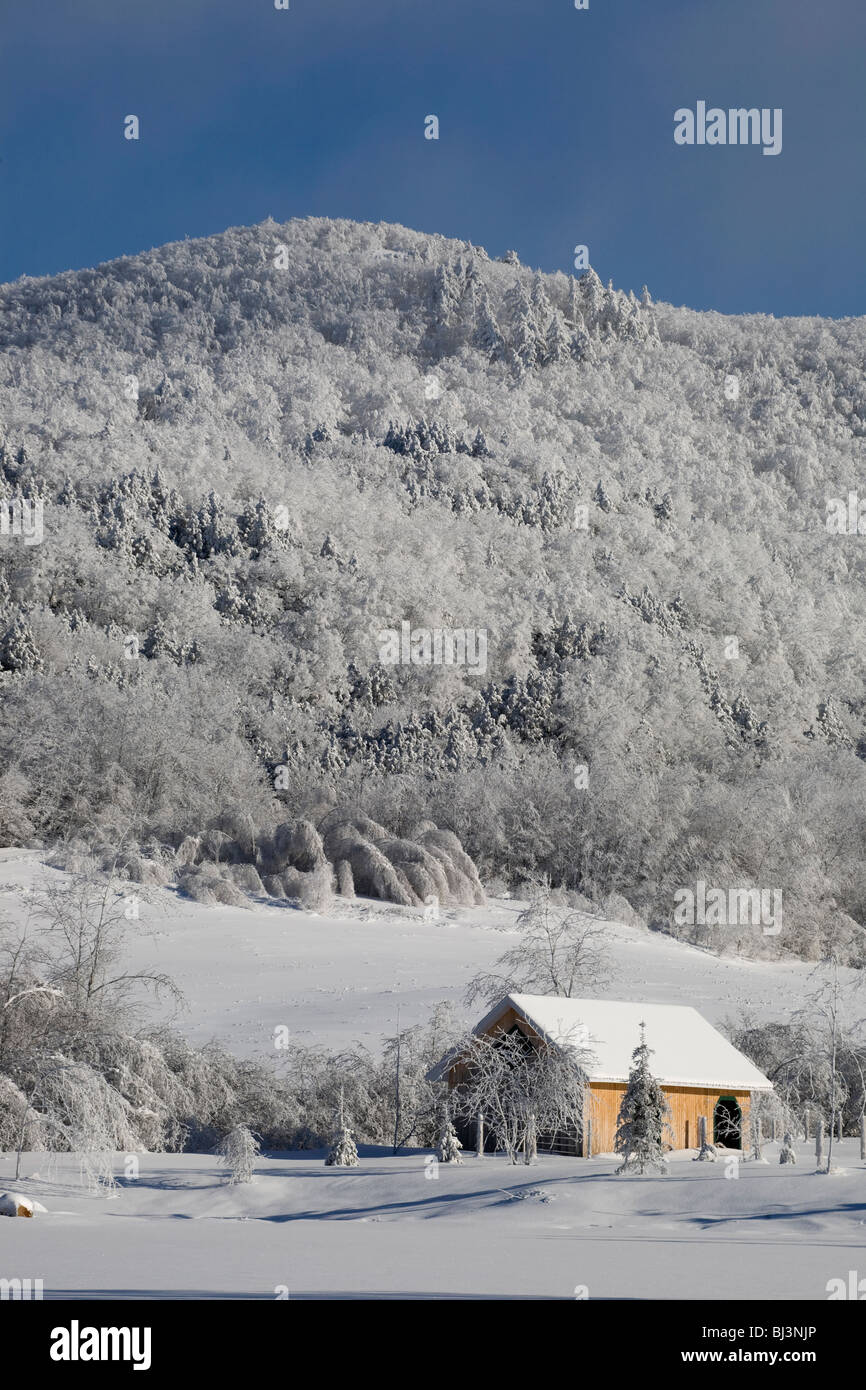 Snowy landscape in winter, Canada Stock Photo - Alamy
