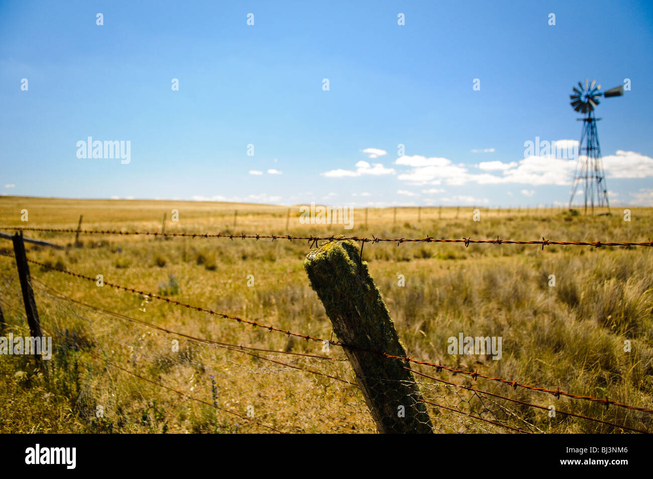 MONARO, Australia — The expansive rural landscape of the Monaro region ...