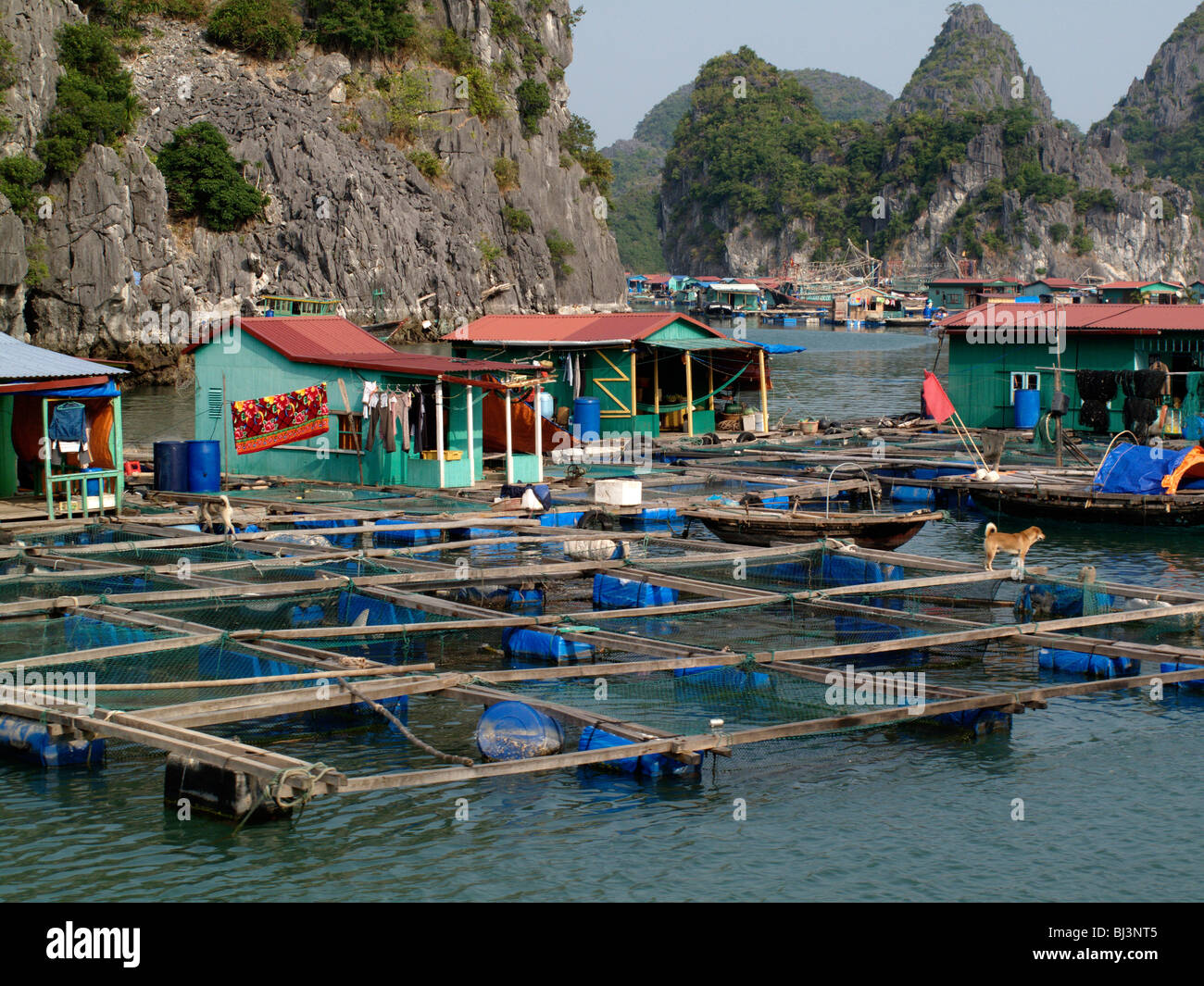 A fish farm in Halong Bay in northern Vietnam Stock Photo - Alamy