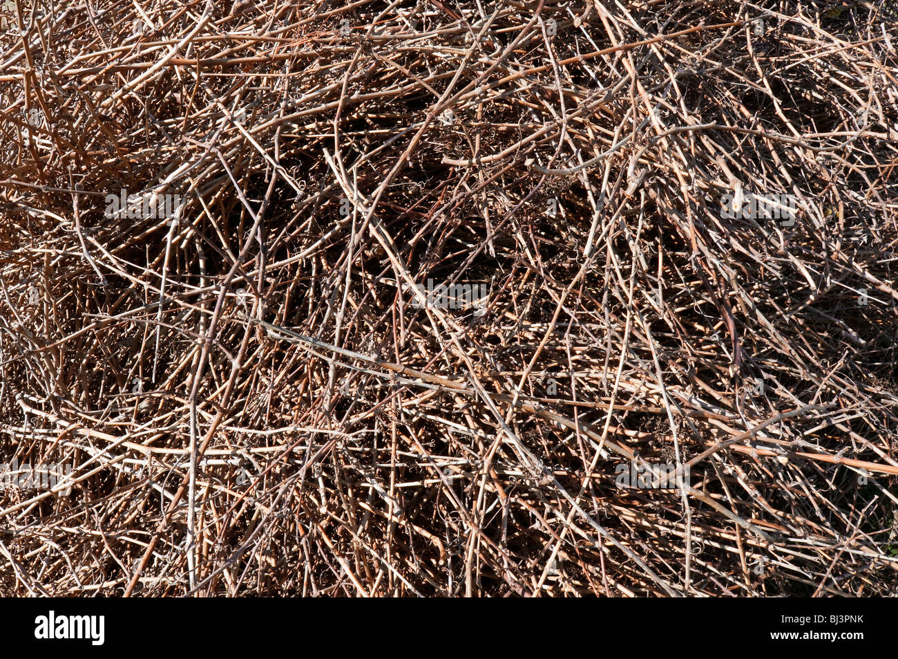 Pile of twigs hi-res stock photography and images - Alamy