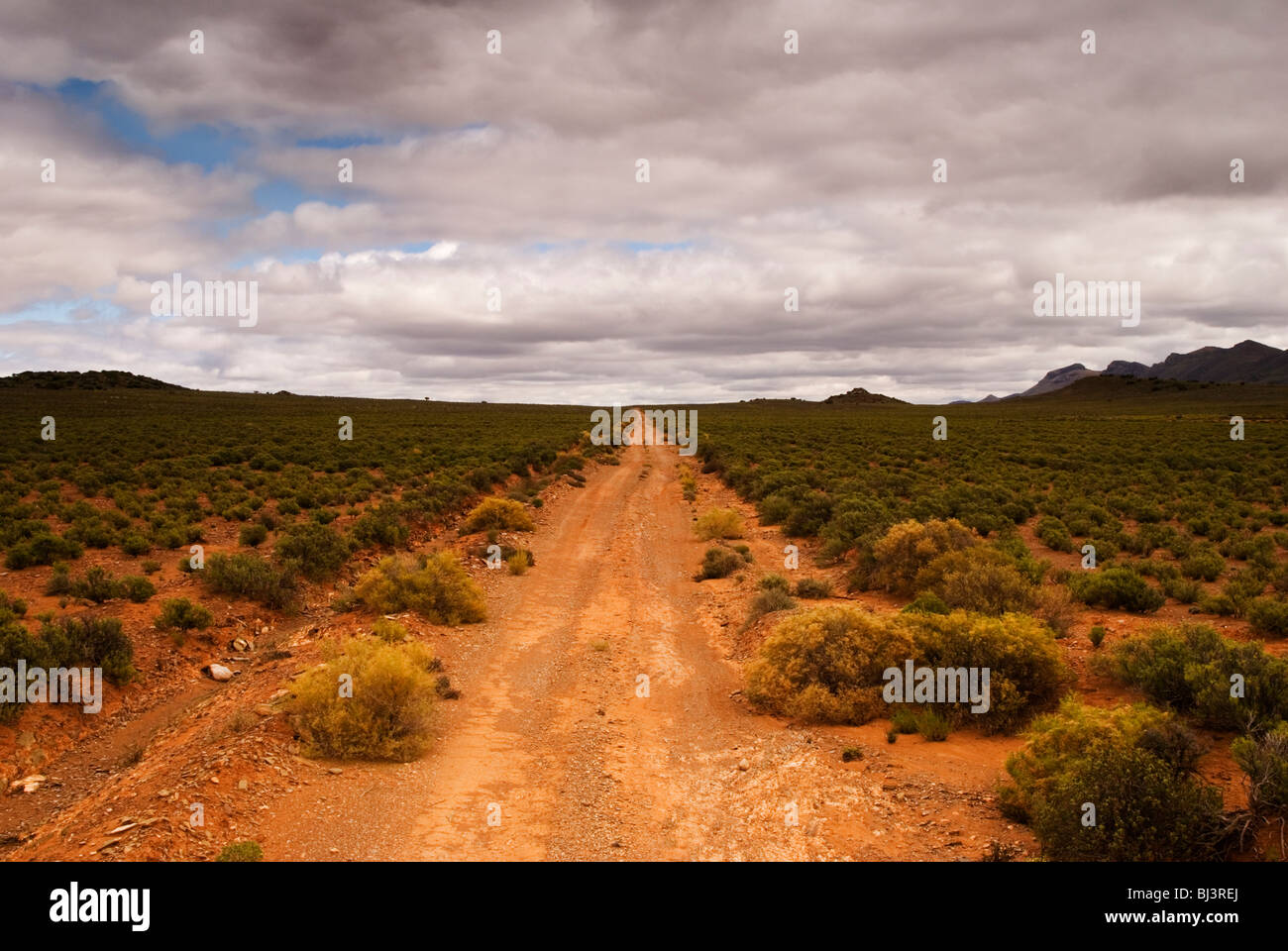 Karoo road with overcast skies Stock Photo - Alamy