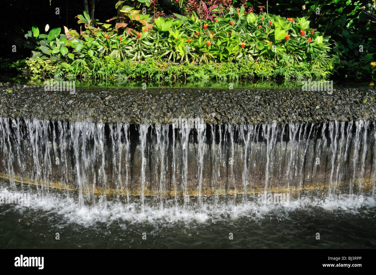 Waterfall, Singapoer Botanic Gardens Stock Photo - Alamy