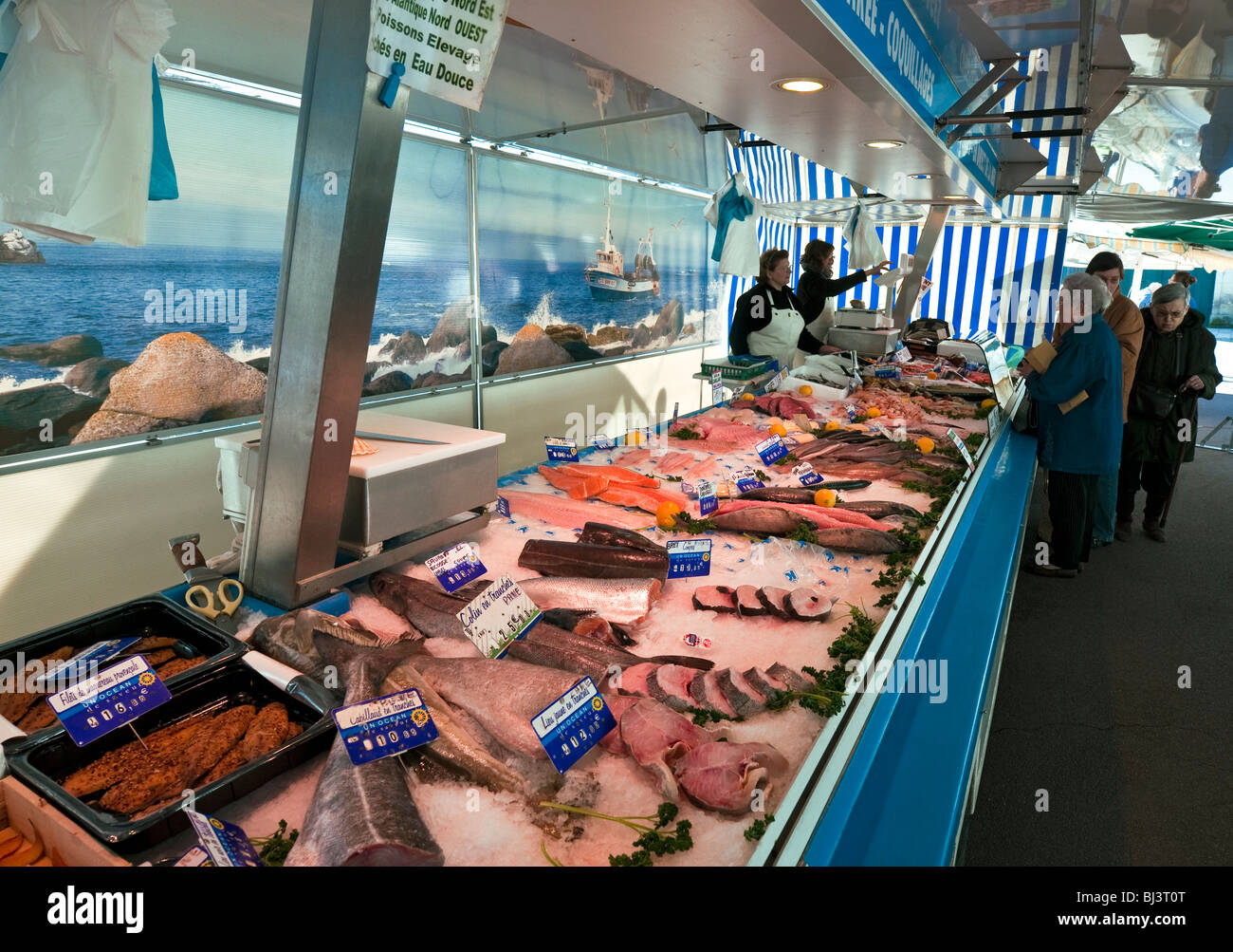 Fish square hi-res stock photography and images - Alamy