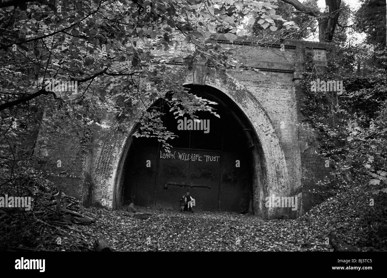 Peering through a hole of an old Victorian railway tunnel, two children ...