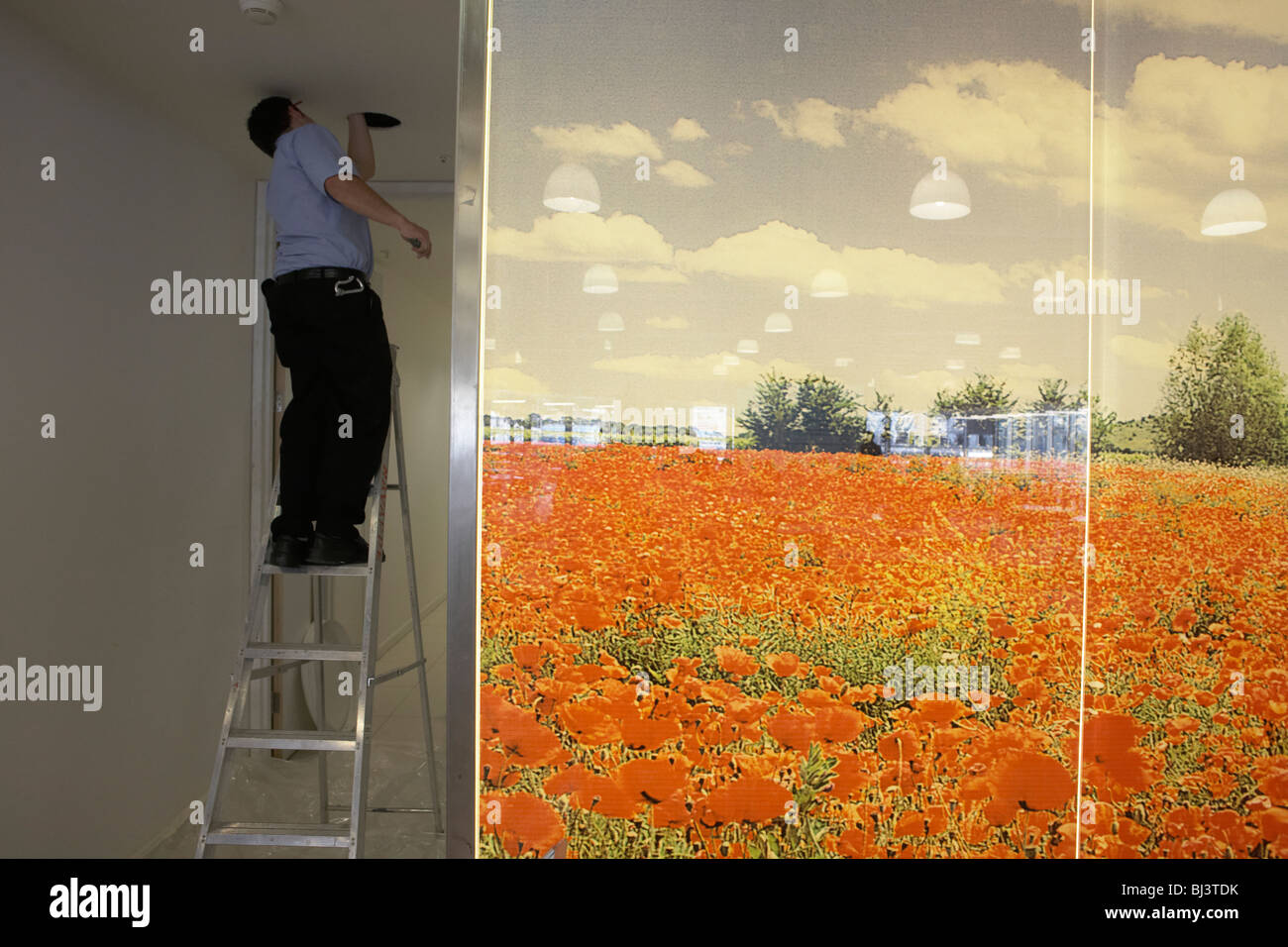 Awkward adjustment hi-res stock photography and images - Alamy