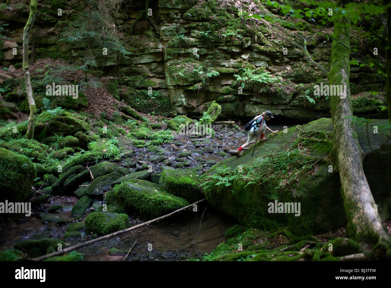 A young adventurer scales a giant boulder in the ancient forest of ...