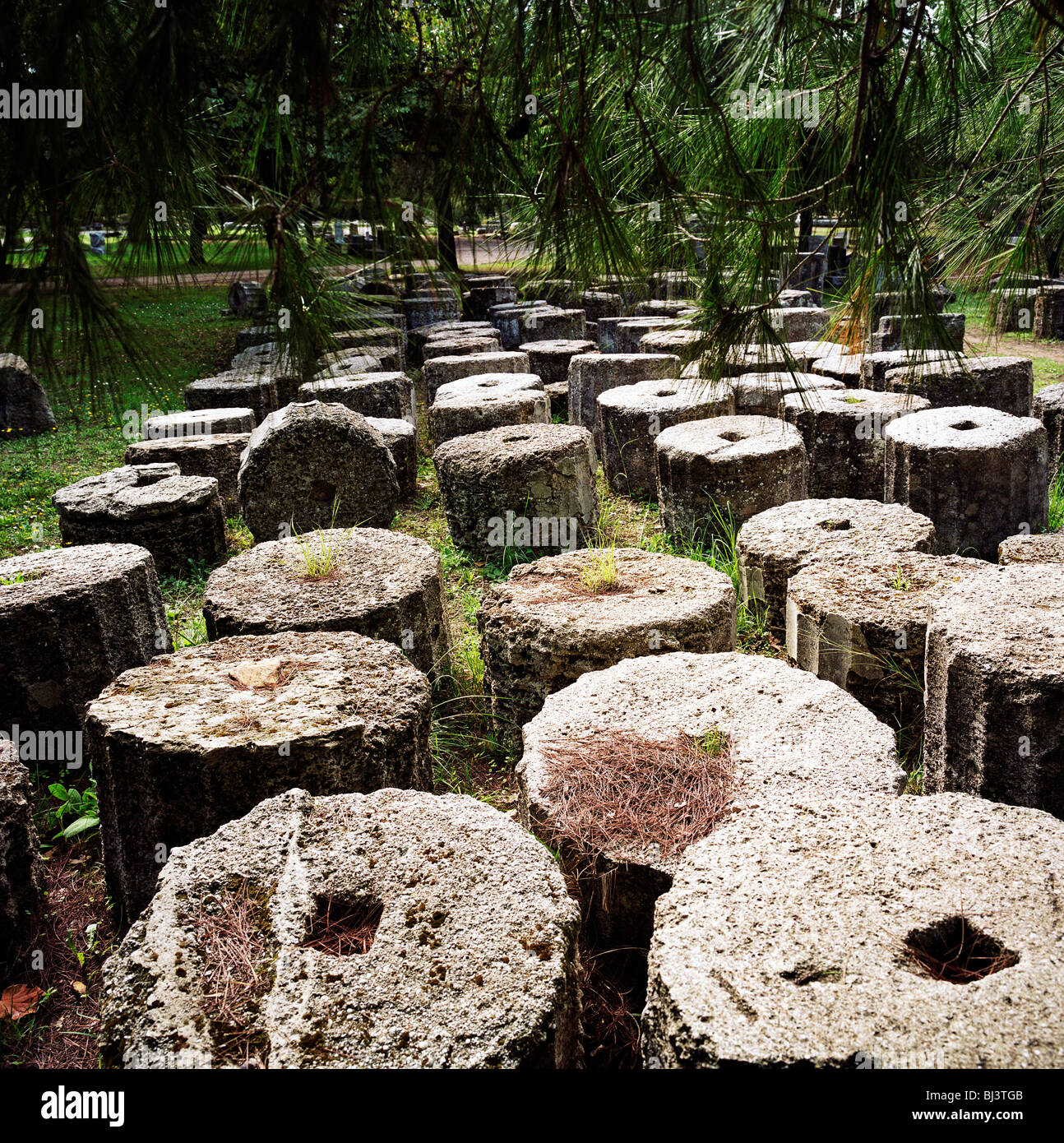 Fallen Ionic and Doric columns lay in the undergrowth at ancient ...