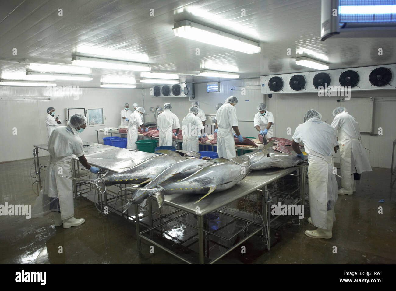 Meat processing facilities hi-res stock photography and images - Alamy